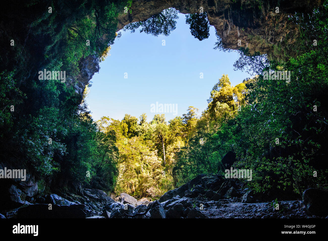 Oparara Arch in the Oparara Basin, Karamea, South Island, New Zealand ...