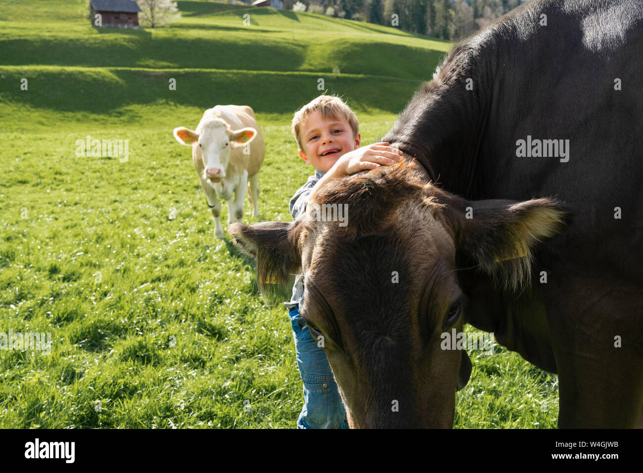 Happy boy with cow on pasture Stock Photo - Alamy