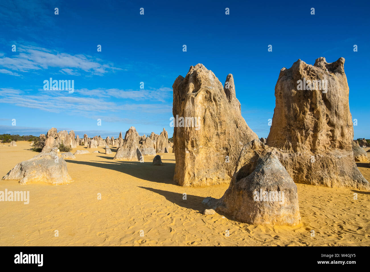Pinnacle limestone formations at sunset, Nambung National Park, Western ...