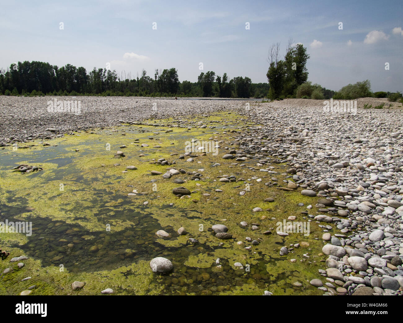 riverbed dry due to drought with pools of stagnant water with green ...