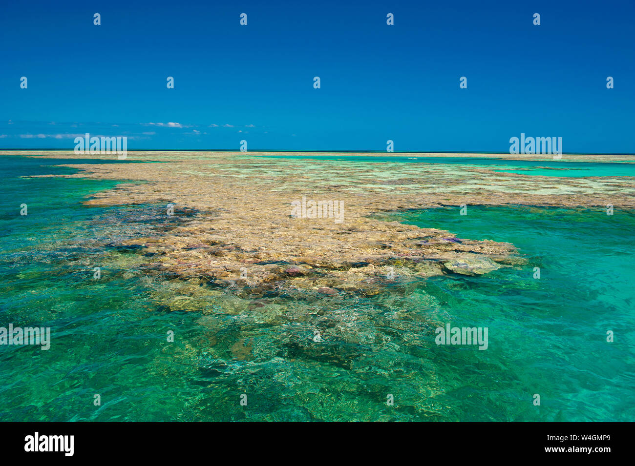 Aerial view of the Great Barrier Reef, Queensland, Australia Stock ...