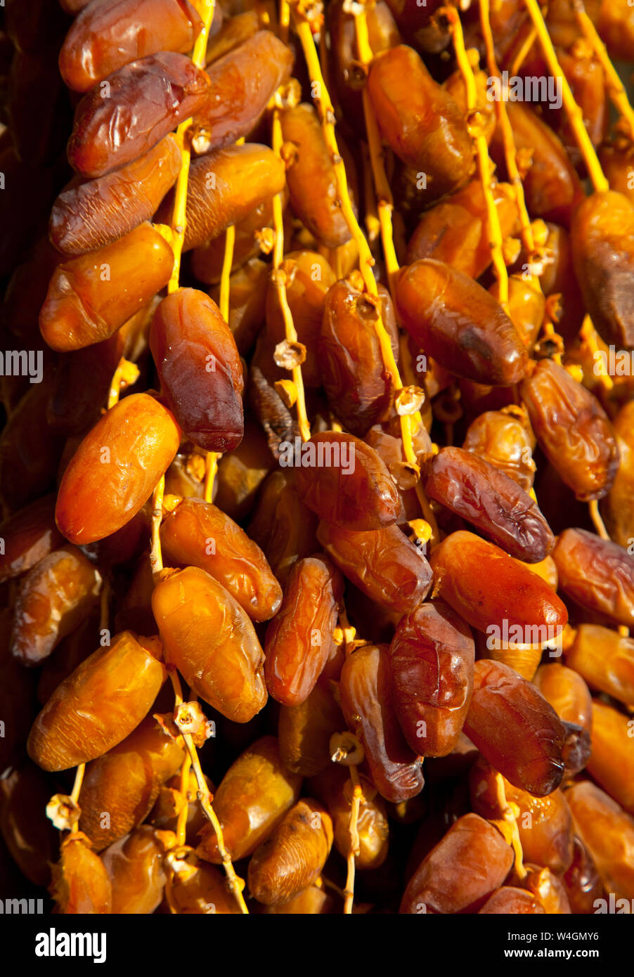 Datiles, Tozeur, Desierto del sur de Tunez, Africa Stock Photo - Alamy