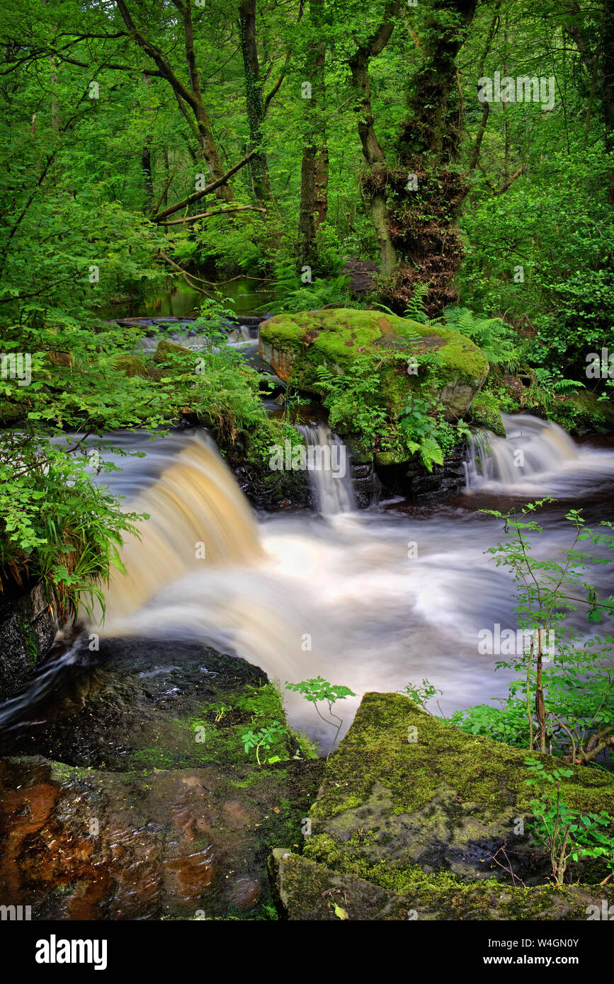 Rivelin Double Waterfalls High Resolution Stock Photography and Images ...