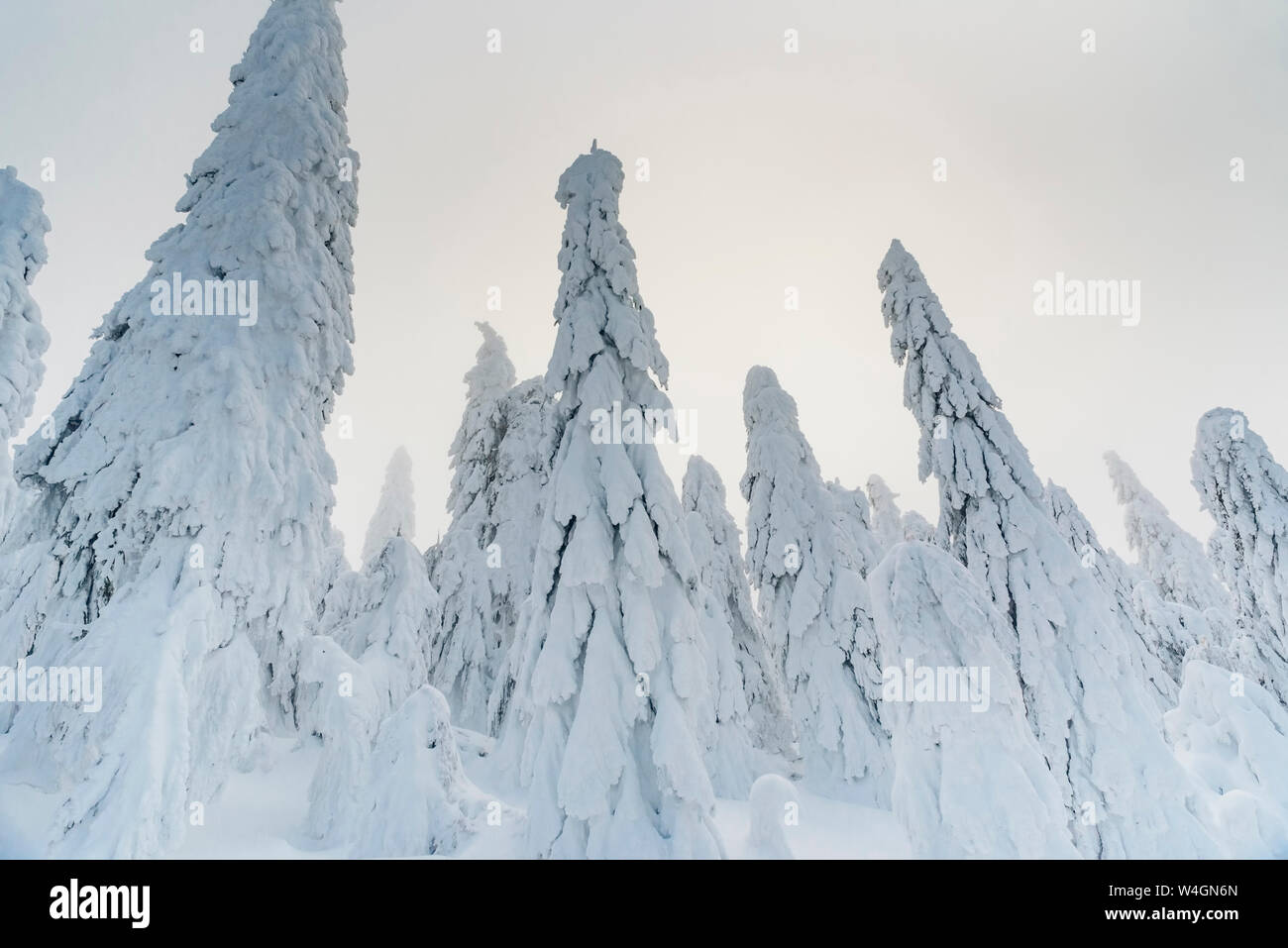 The ore mountains hi-res stock photography and images - Alamy