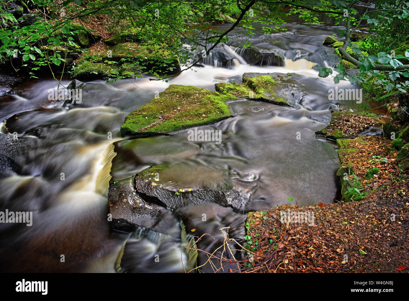 Rivelin waterfalls hi-res stock photography and images - Alamy