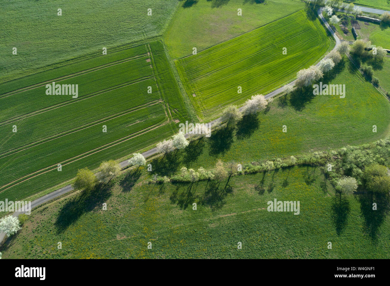 Rural awakening hi-res stock photography and images - Alamy