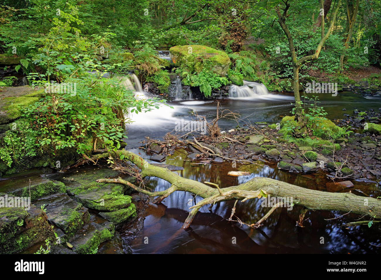 Rivelin falls hi-res stock photography and images - Alamy