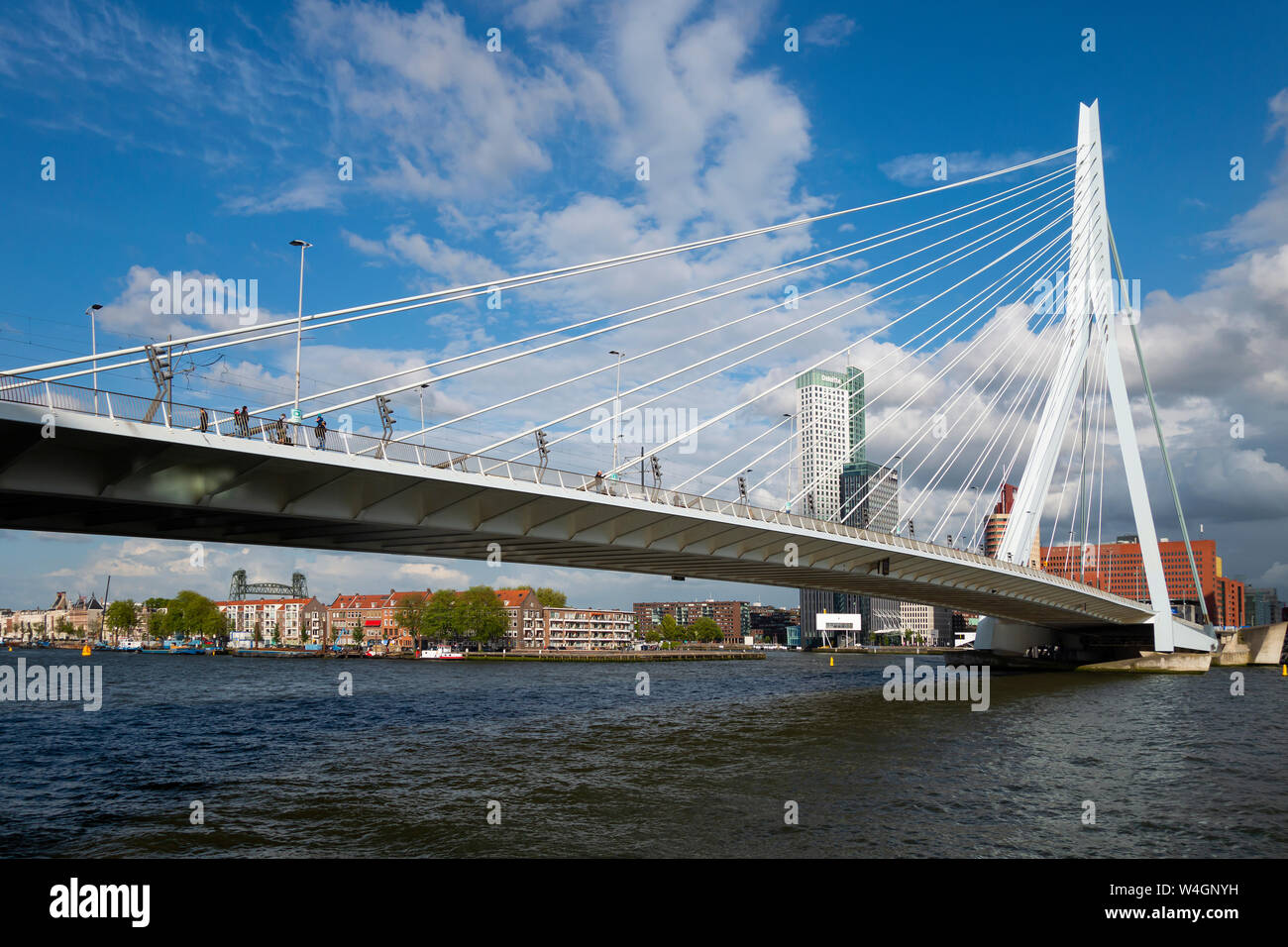 Rotterdam erasmusbrug netherlands hi-res stock photography and images ...