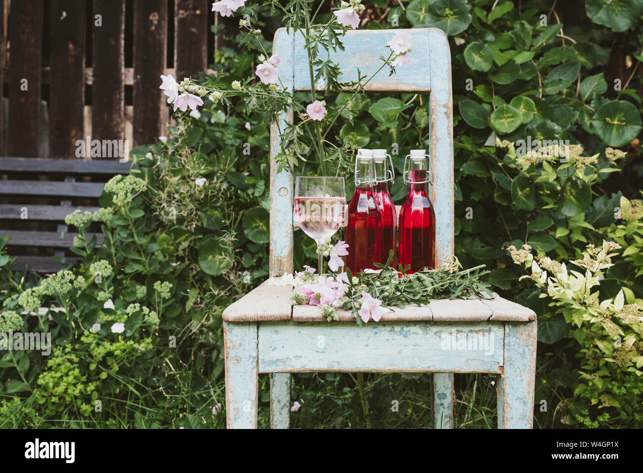 Mallow juice hi-res stock photography and images - Alamy