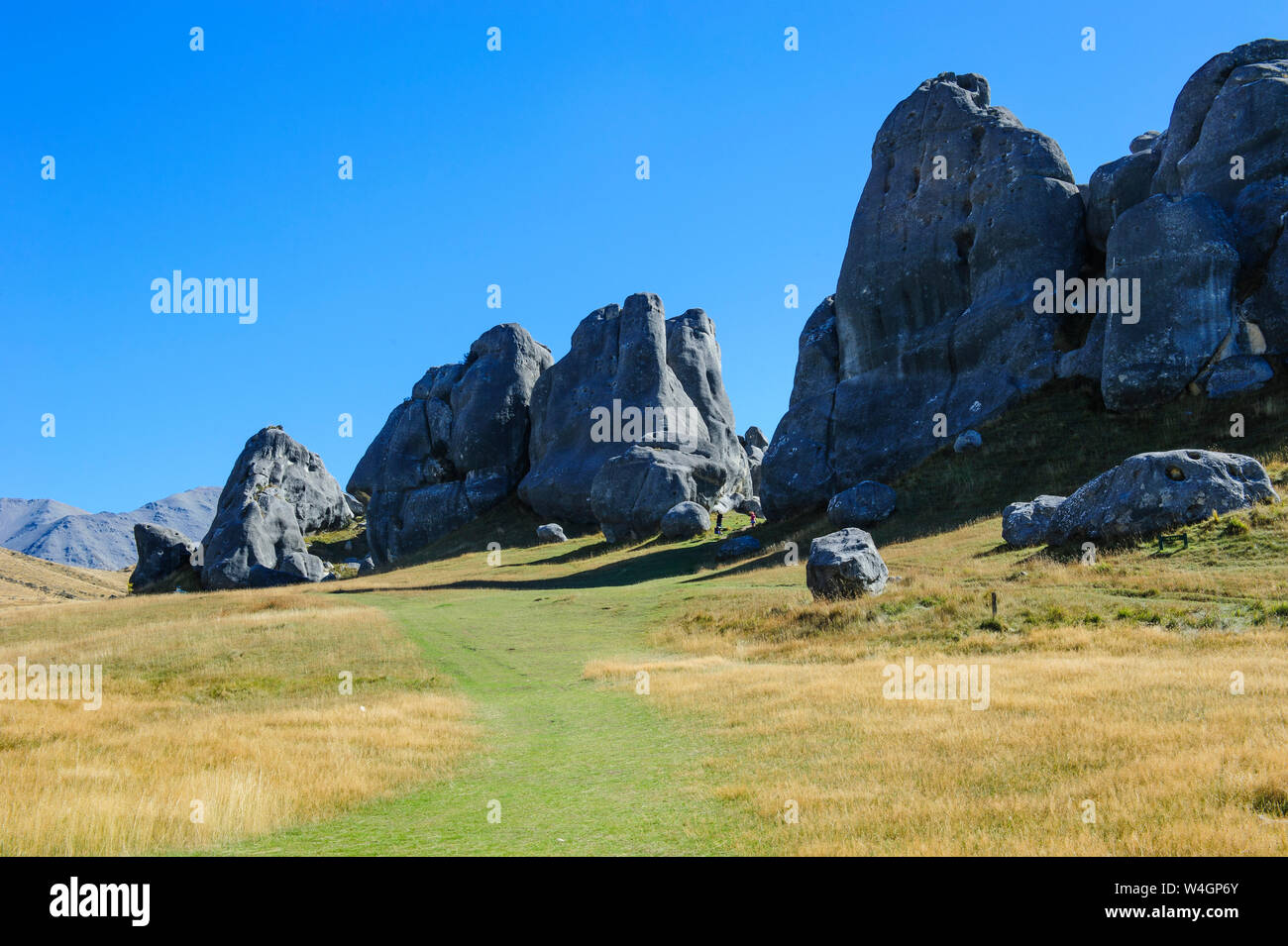 Limestone outcrops on Castle Hill, South Island, New Zealand Stock ...