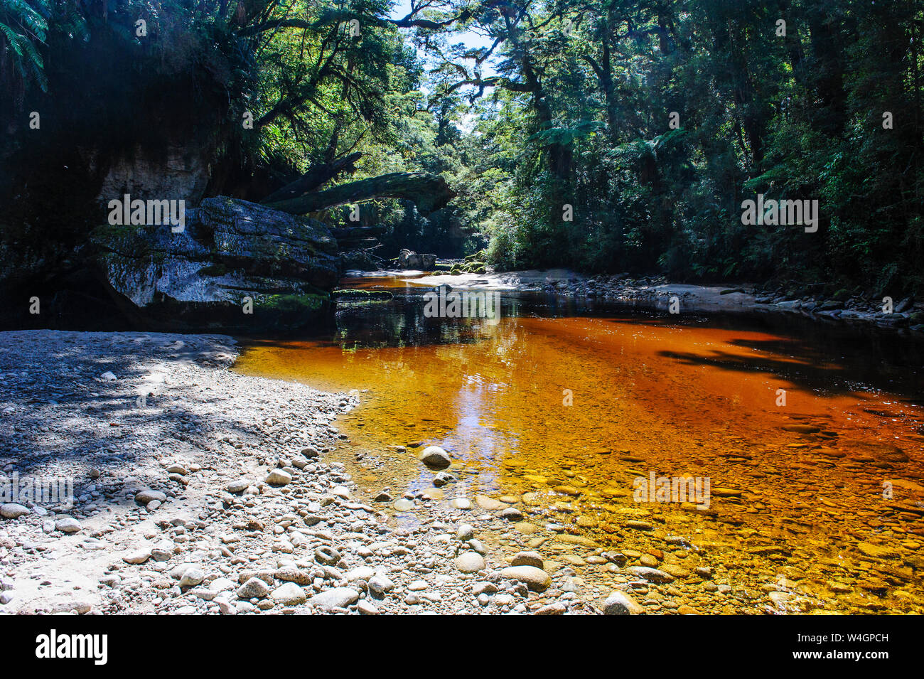 Moria Gate Arch in the Oparara Basin, Karamea, South Island, New ...
