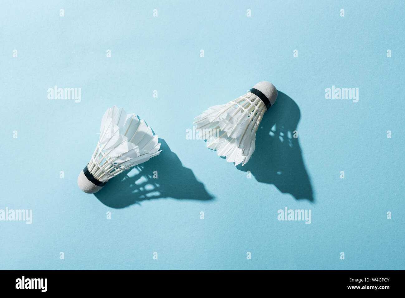 top view of white shuttlecocks with feathers on blue Stock Photo - Alamy