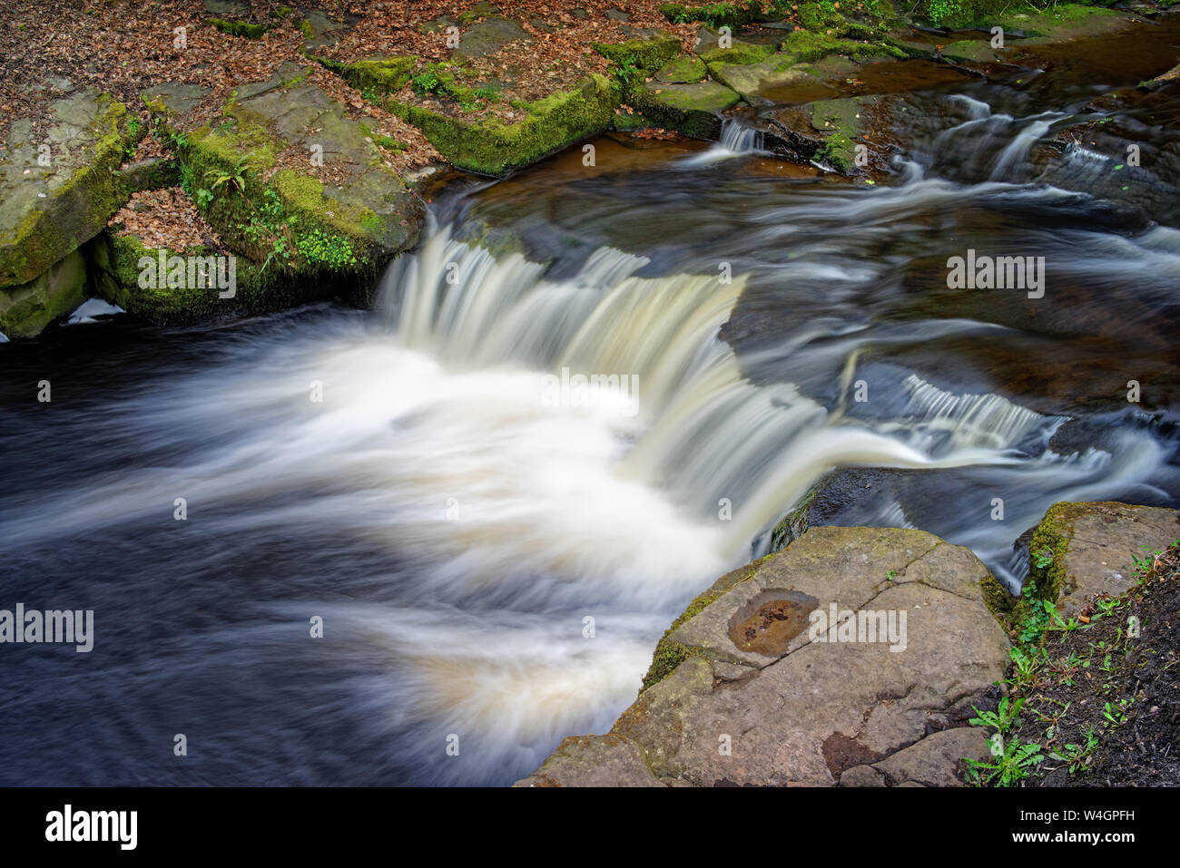UK,South Yorkshire,Sheffield,River Rivelin Waterfalls in Autumn Stock ...