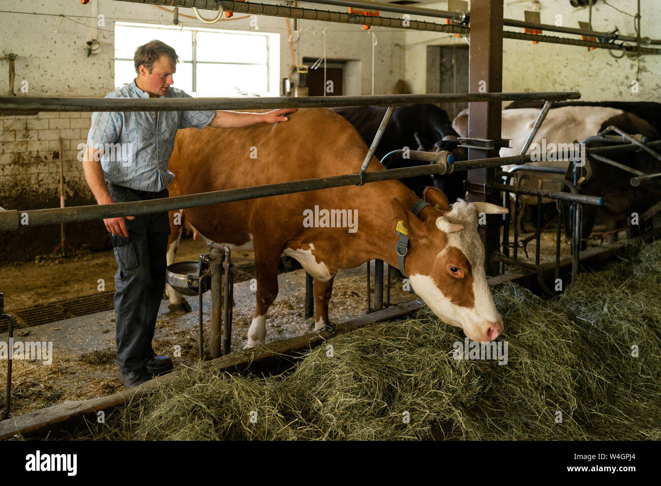 Candid caring hi-res stock photography and images - Alamy