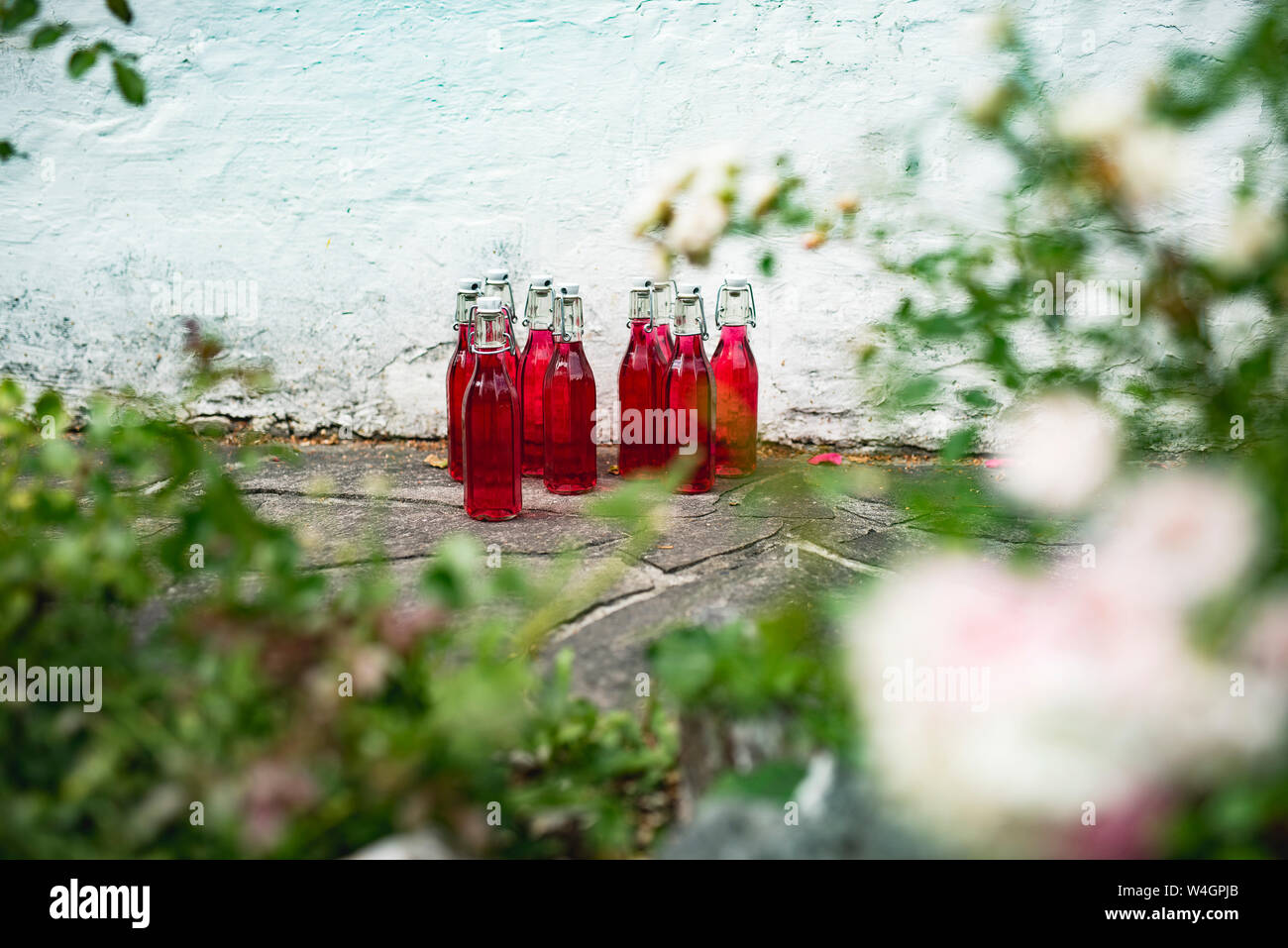 Mallow juice hi-res stock photography and images - Alamy