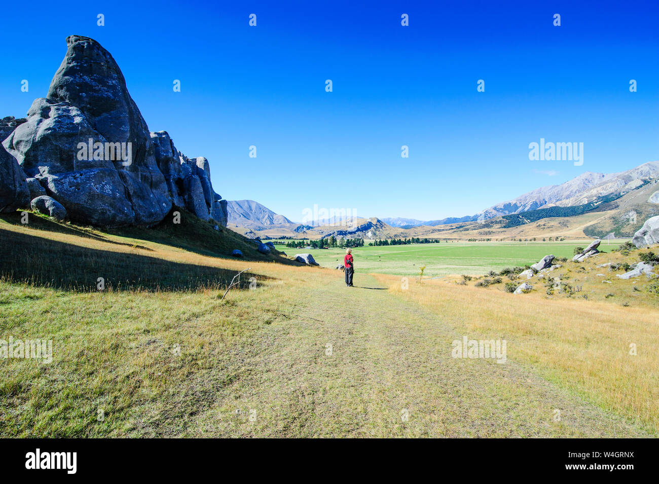 Limestone outcrops on Castle Hill, South Island, New Zealand Stock ...