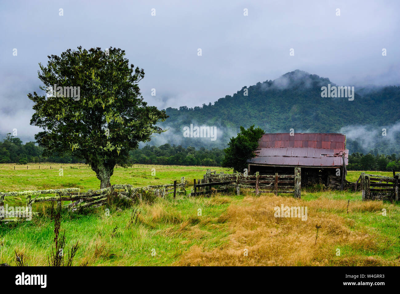 New zealand farm scene hi-res stock photography and images - Alamy