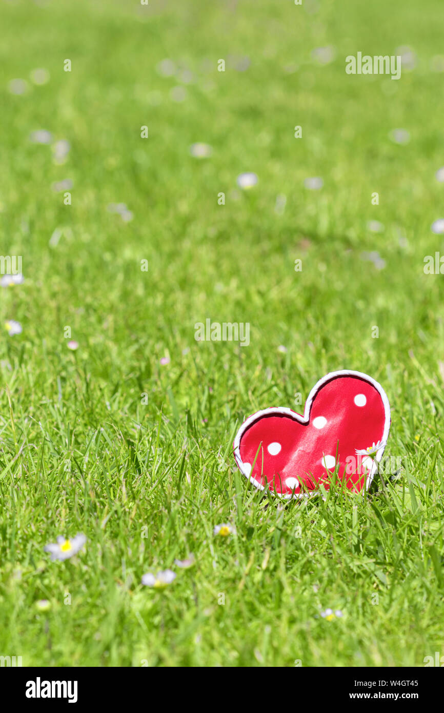 Heart made with nature hi-res stock photography and images - Alamy