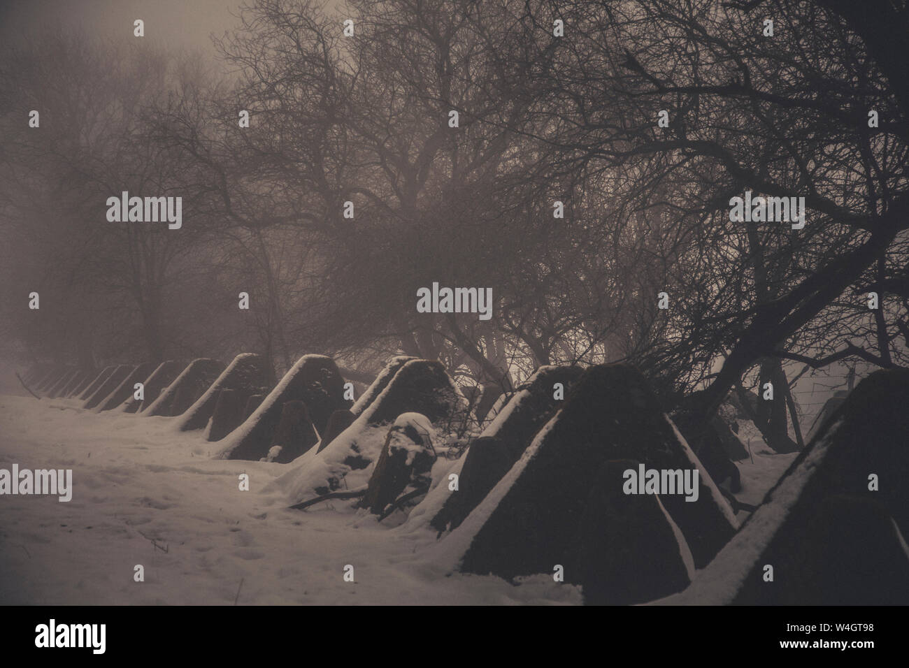 Tank barriers of World War Two in winter, Siegfried Line, Eifel, Gemany ...