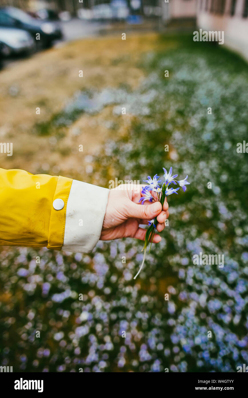 Woman hand picking flowers hi-res stock photography and images - Alamy