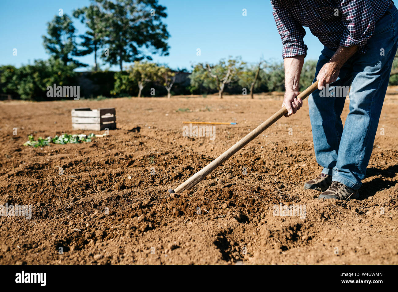 Senior farmer plowing the ground Stock Photo - Alamy