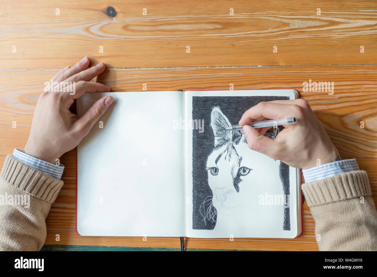 Man drawing a cat Stock Photo - Alamy