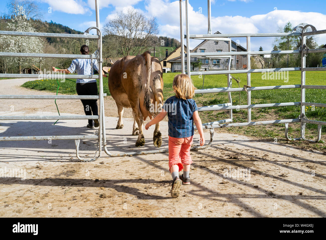 Caucasian women child cow hi-res stock photography and images - Alamy