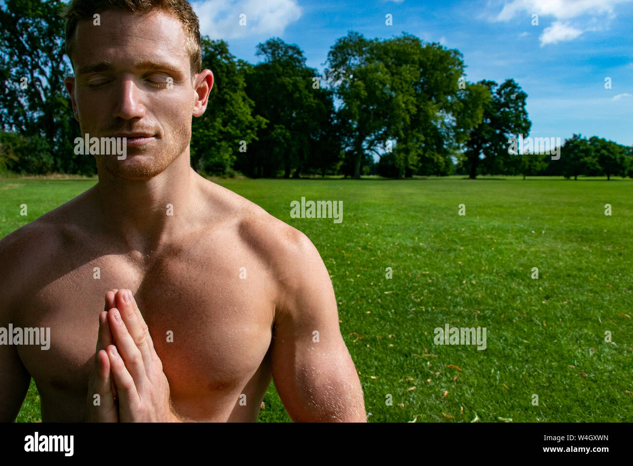 Man pecs muscles hi-res stock photography and images - Alamy