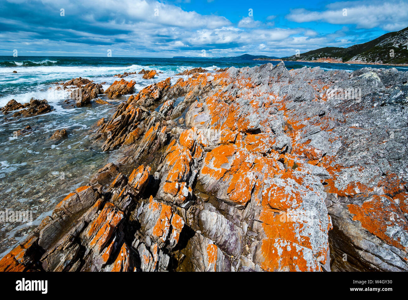 Rocky cape national park hi-res stock photography and images - Alamy