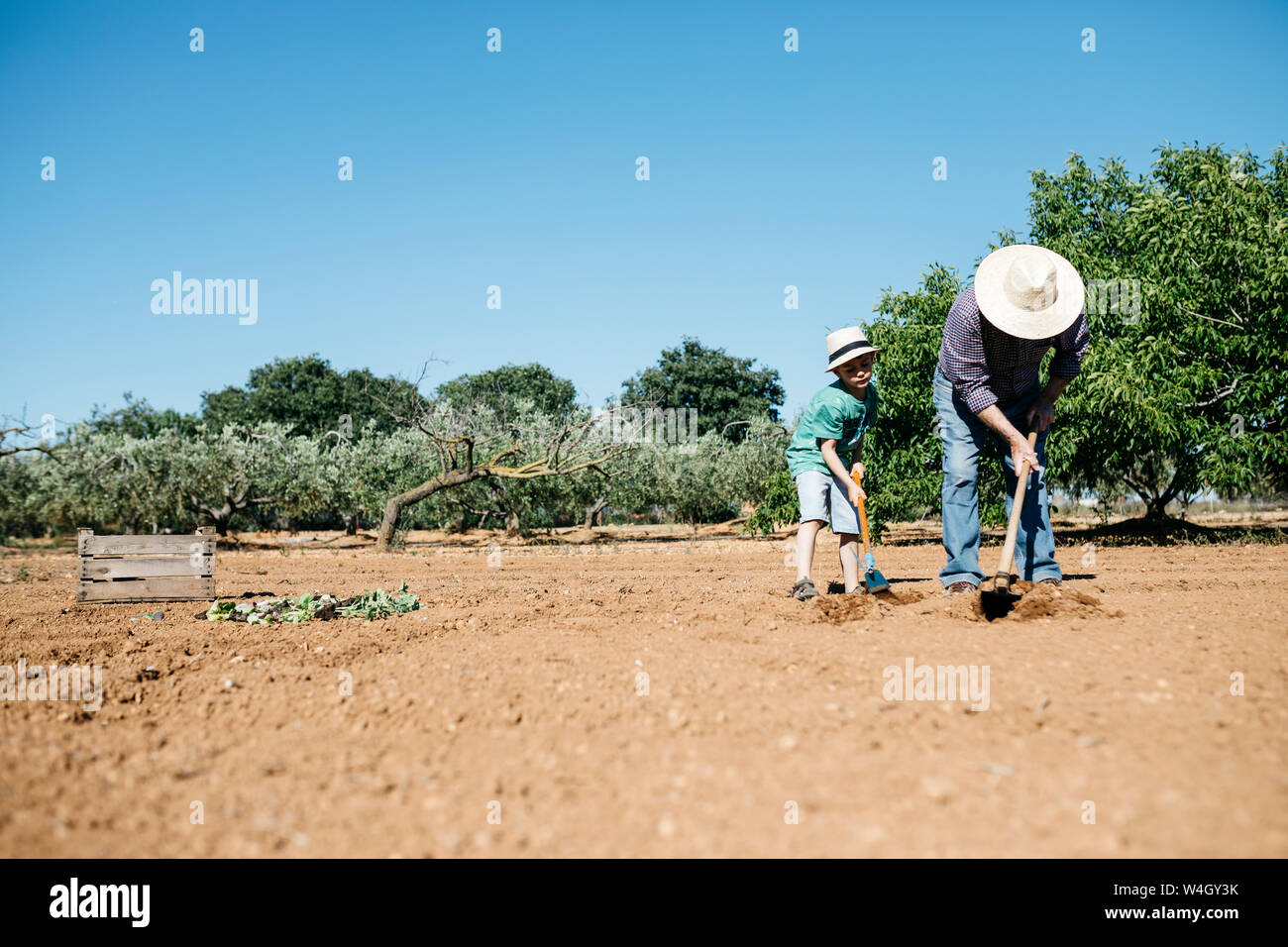 Boy plowing field hi-res stock photography and images - Alamy