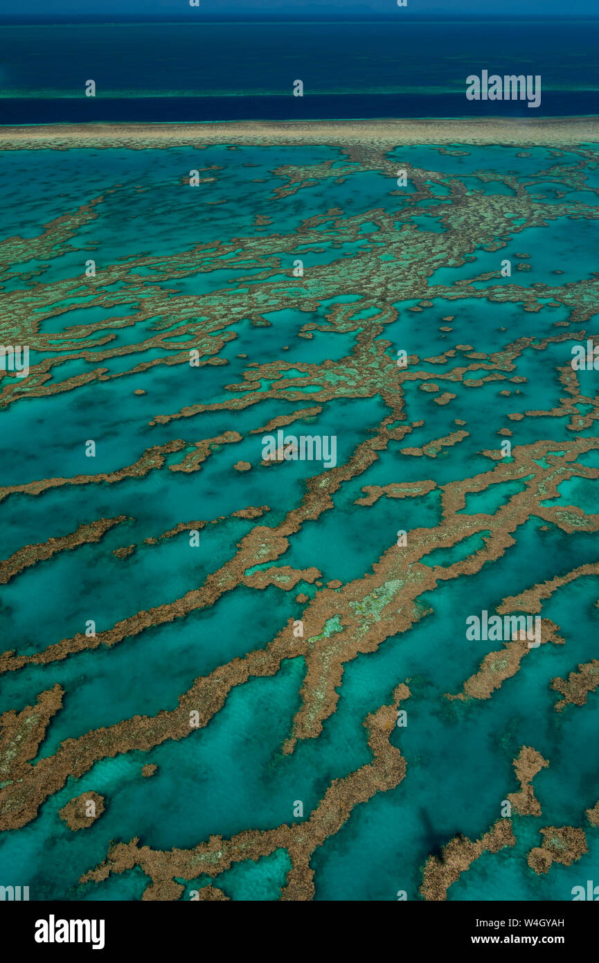 Great barrier reef marine park hi-res stock photography and images - Alamy