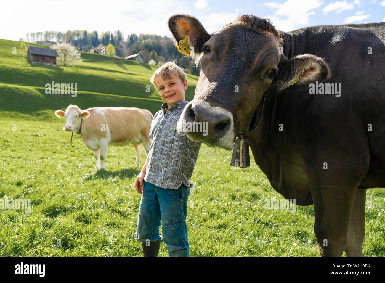 Happy boy with cow on pasture Stock Photo - Alamy