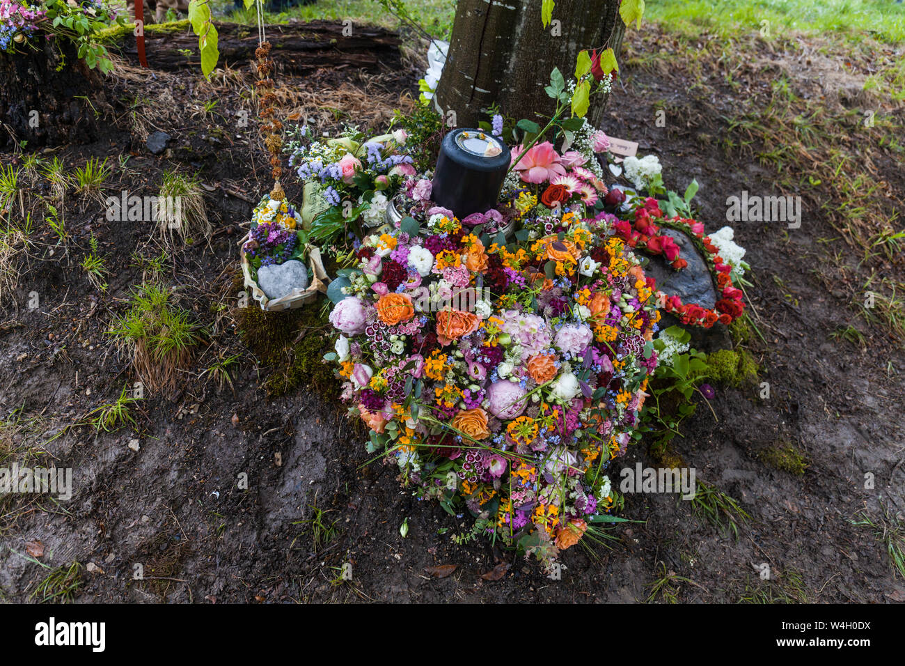 Natural tree burial Stock Photo - Alamy