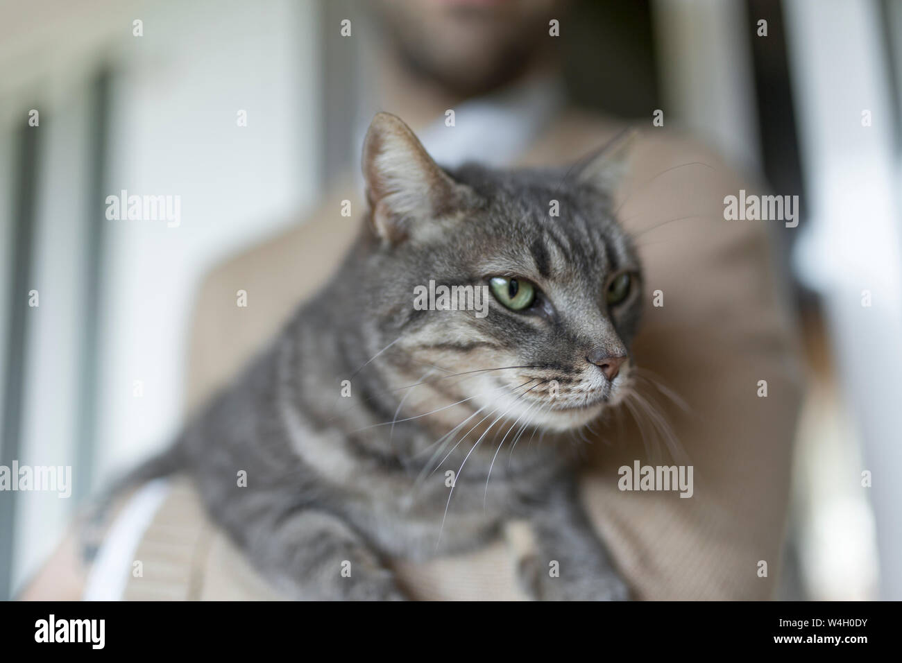 Man with his cat Stock Photo - Alamy