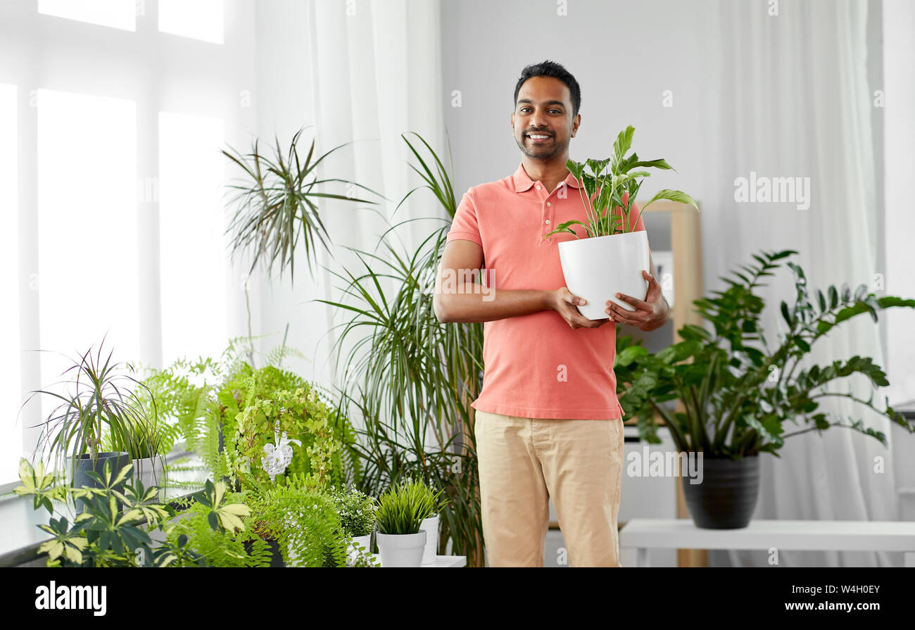 indian man taking care of houseplants at home Stock Photo - Alamy