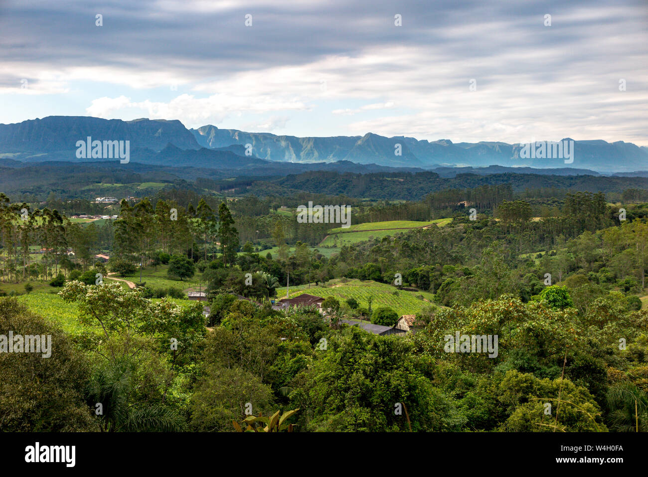 Muller rice hi-res stock photography and images - Alamy