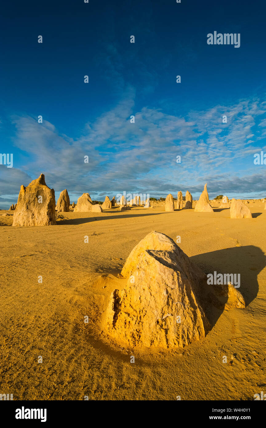 Pinnacle limestone formations at sunset, Nambung National Park, Western ...