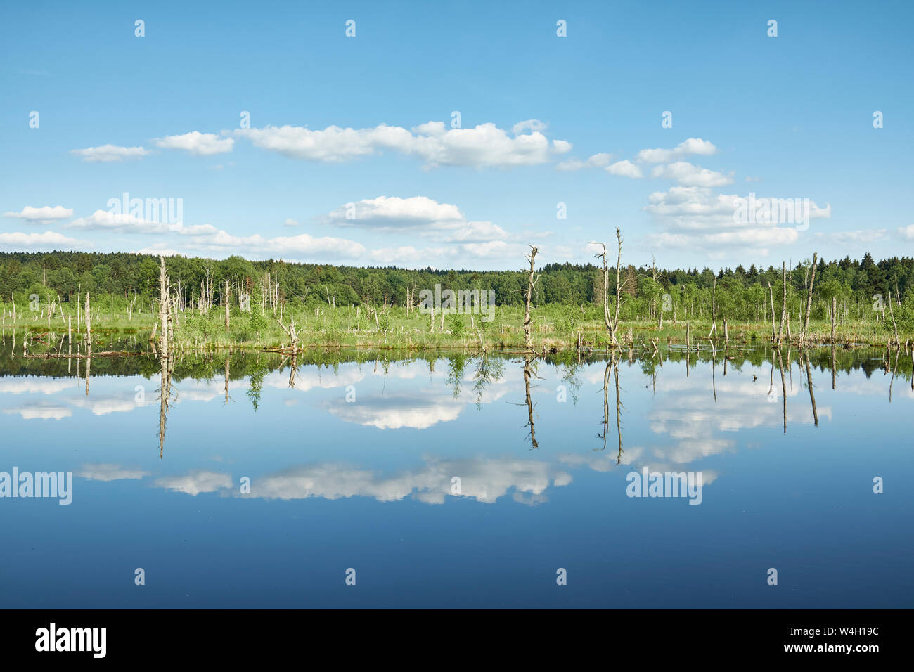 Schwenninger moos nature reserve hi-res stock photography and images ... Schwenninger moos nature reserve hi-res stock photography and images ...