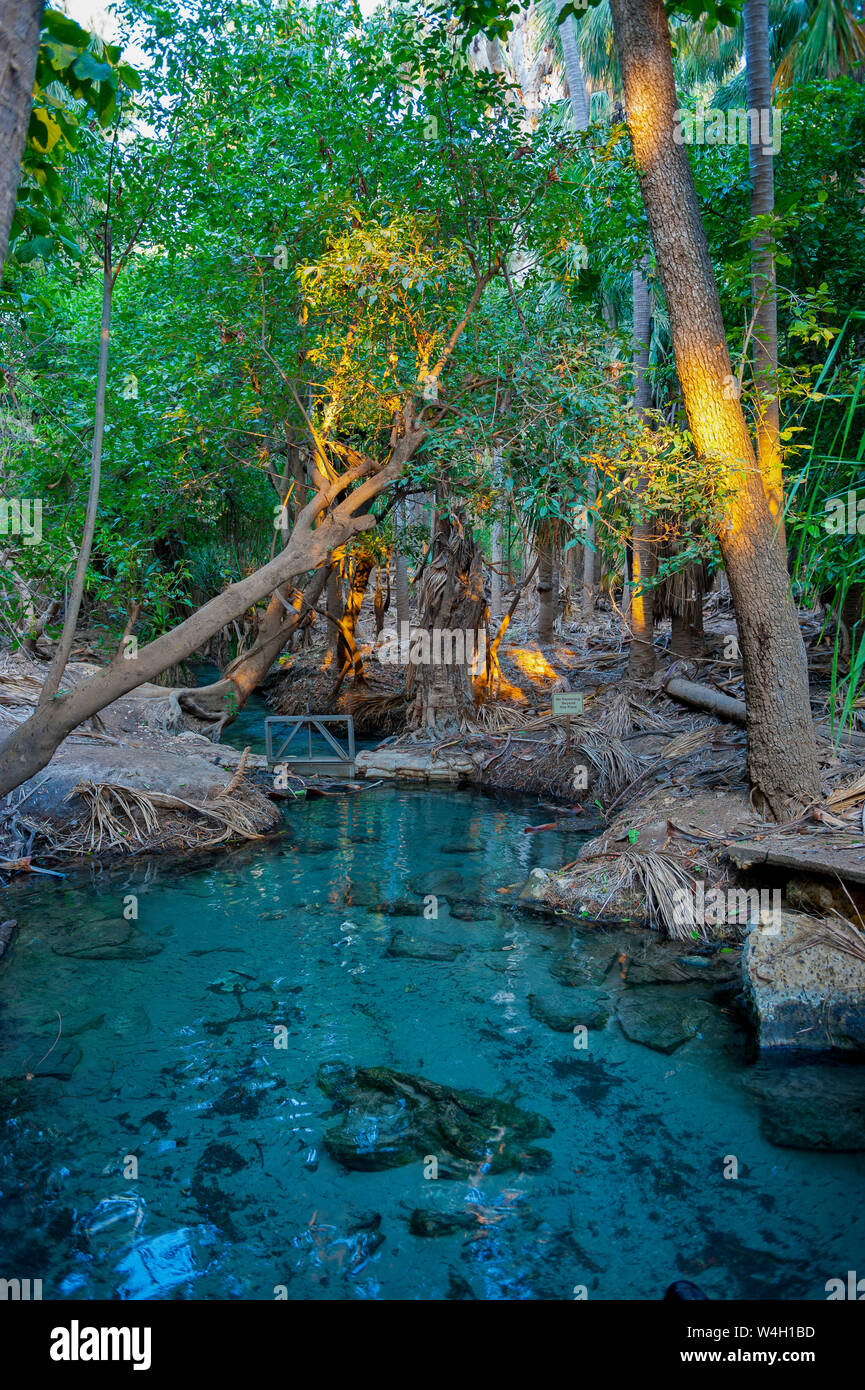 Mataranka thermal pool in the outback of the Northern Territory ...
