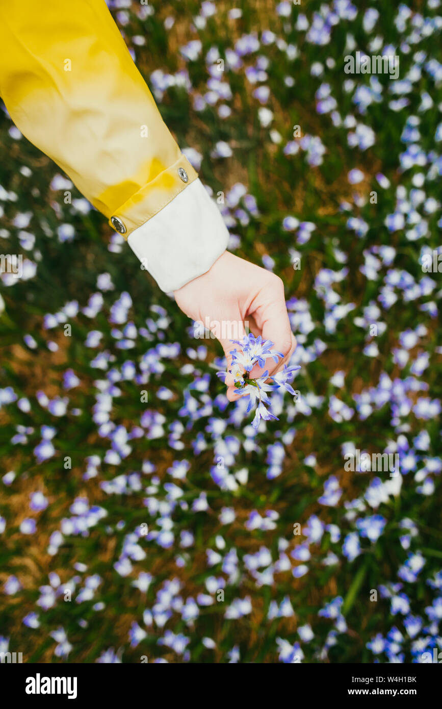 Picking flowers hi-res stock photography and images - Alamy
