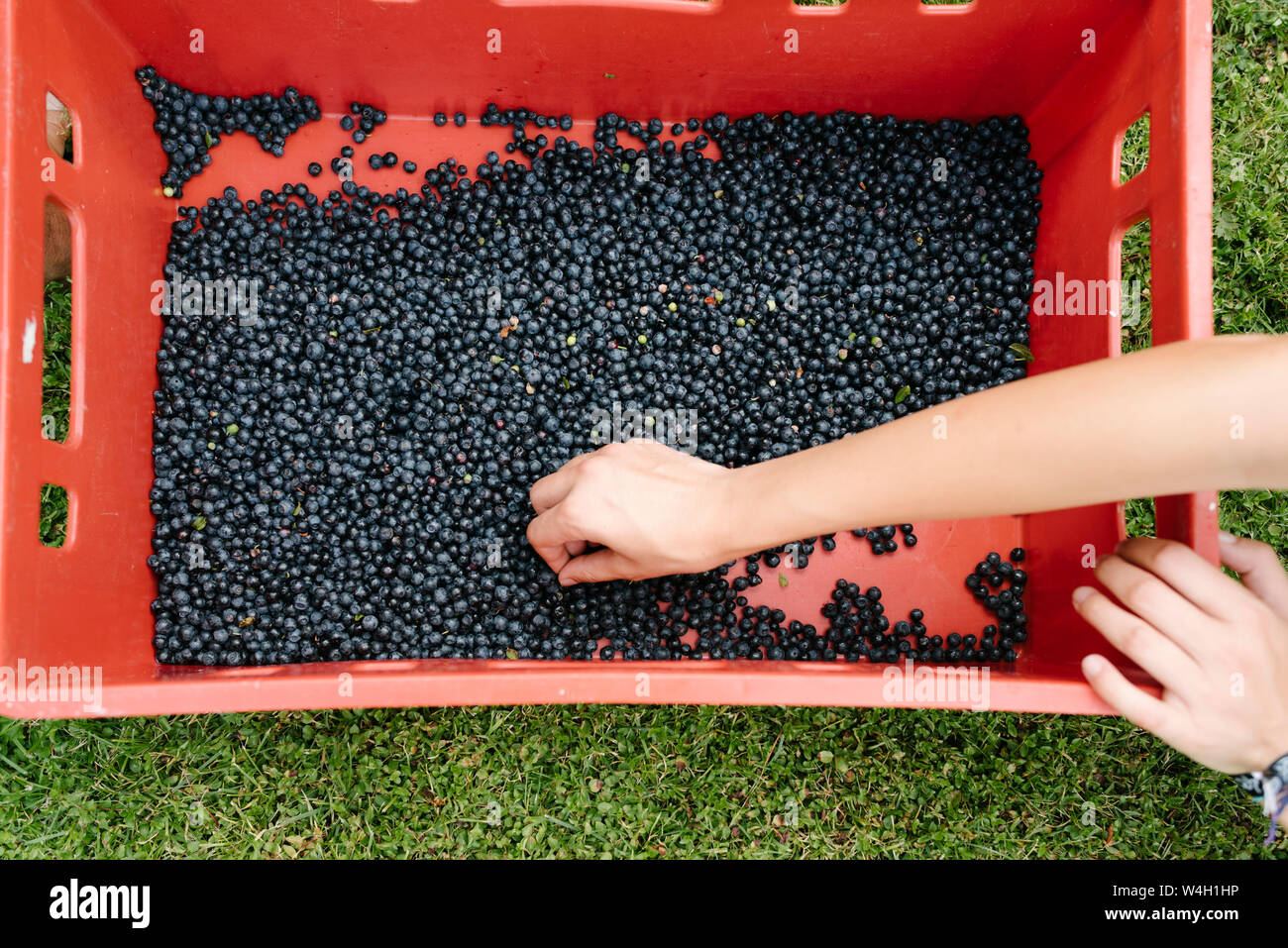 Collecting Objects High Resolution Stock Photography and Images - Alamy
