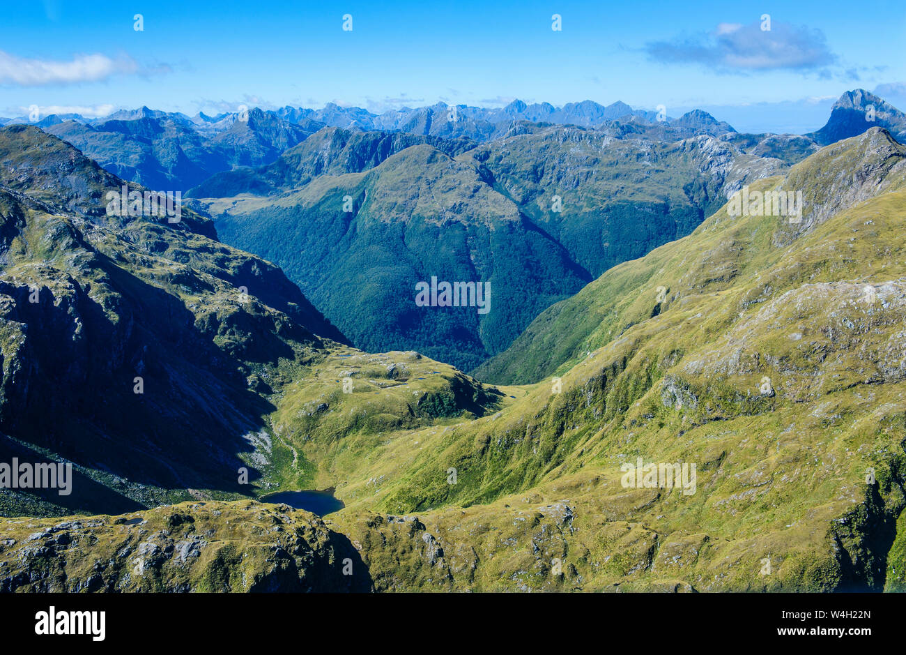 Aerial view of Fiordland National Park, South Island, New Zealand Stock ...