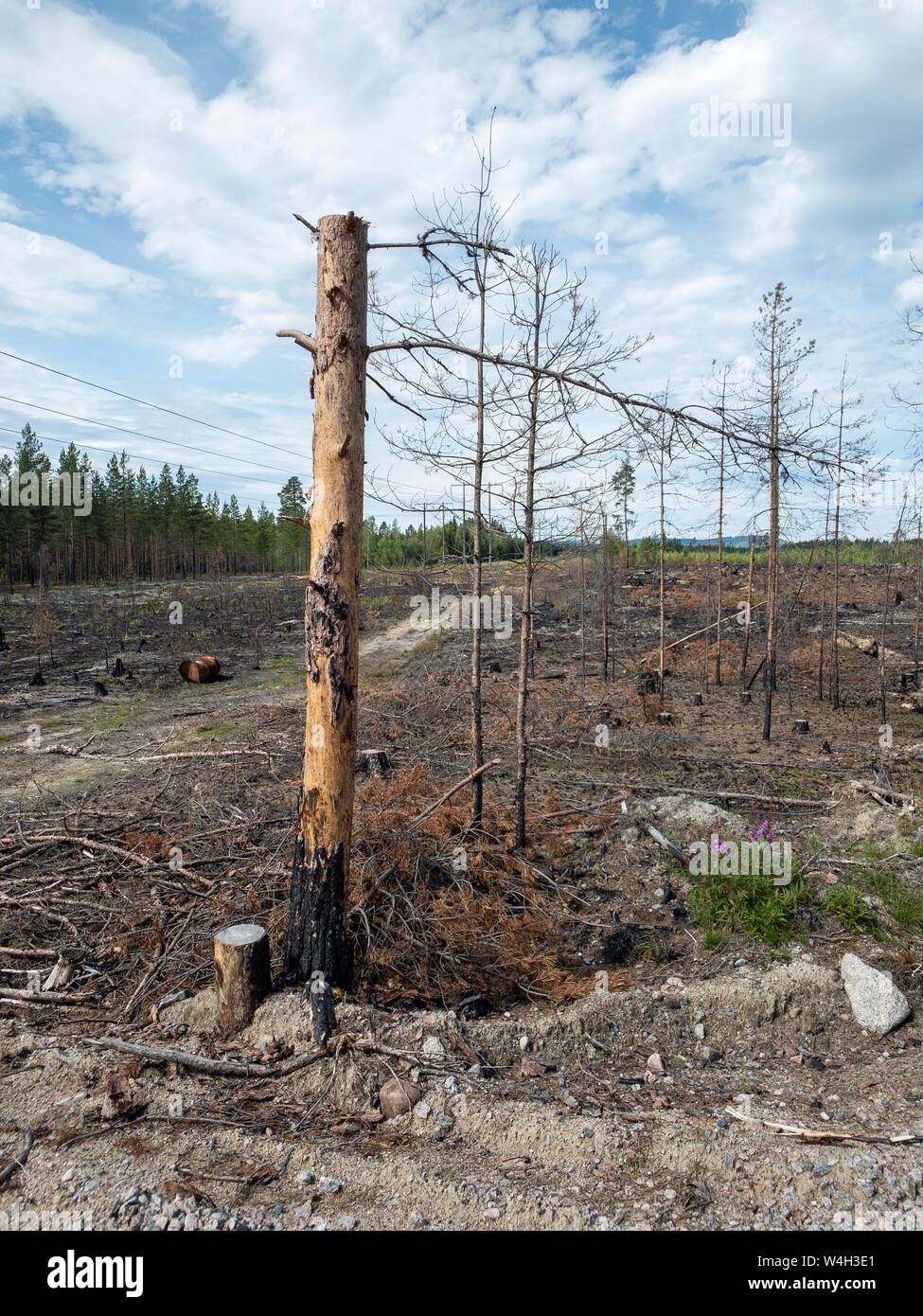 Burn to ashes hi-res stock photography and images - Alamy