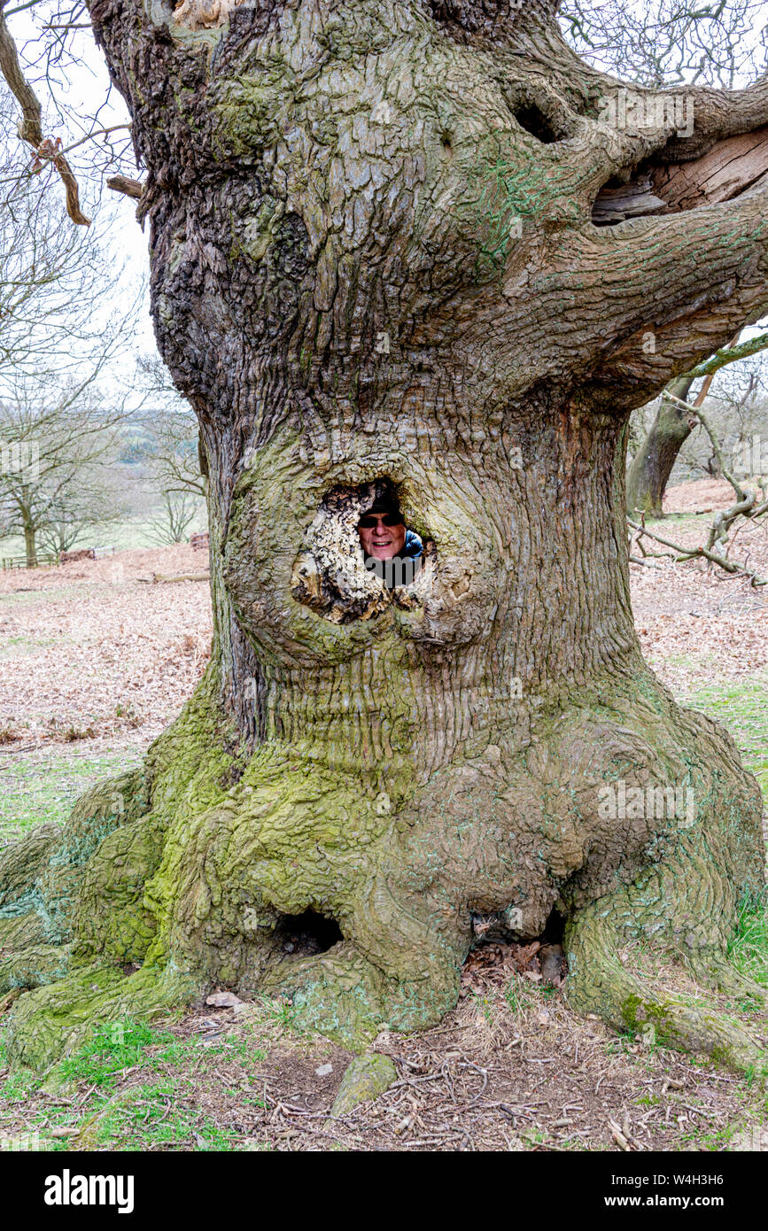 Man face tree hi-res stock photography and images - Alamy