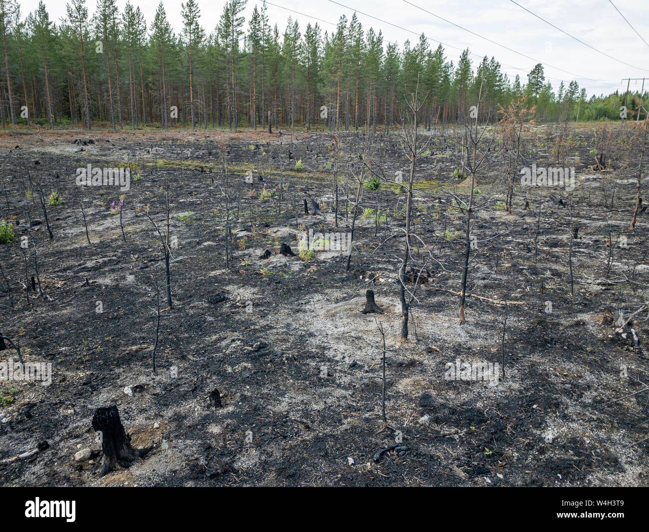 Burn to ashes hi-res stock photography and images - Alamy