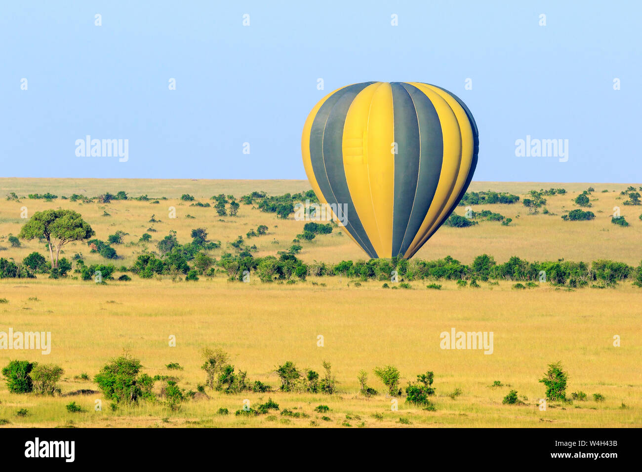 Air balloon that has landed on the African savannah Stock Photo - Alamy