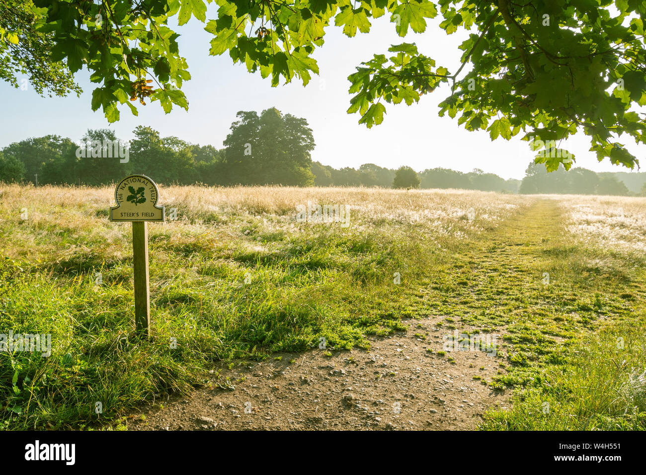 Steer's field surrey hi-res stock photography and images - Alamy