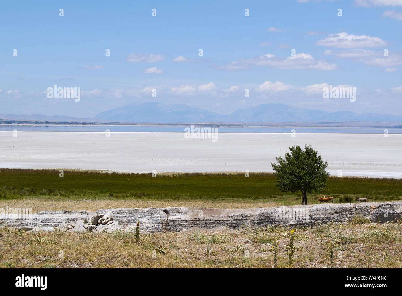 Turkey: salt expanse of Acigol Lake (Bitter Lake), endorheic basin 60 ...