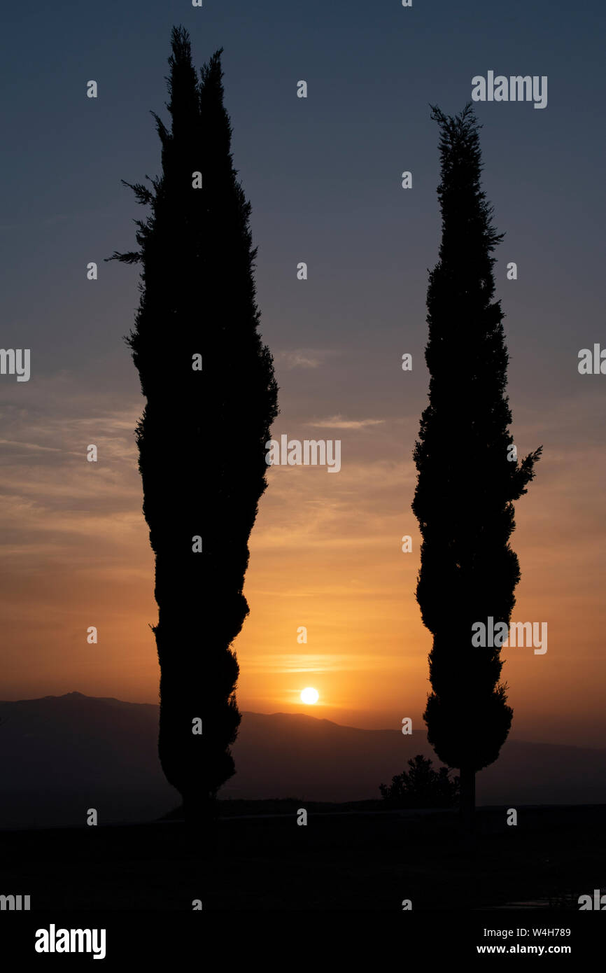 Turkey: cypress trees at sunset in the North Necropolis of Hierapolis ...