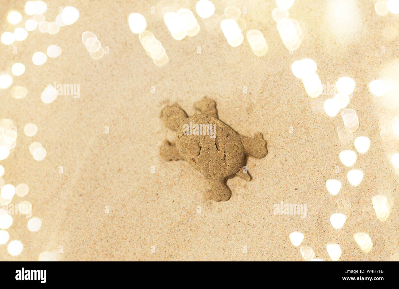 Turtle shape hi-res stock photography and images - Alamy